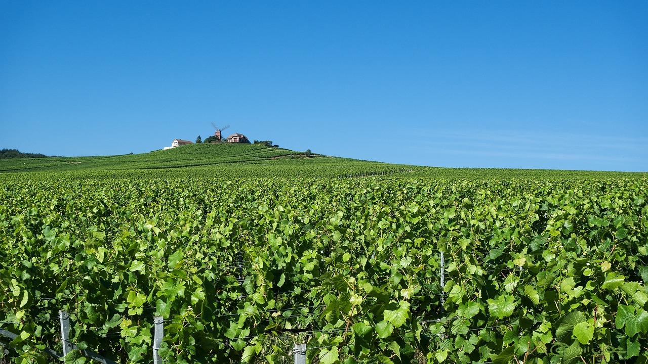 Requiem Mozart in de kathedralen van Reims en Chalons en Champagne - IC ...